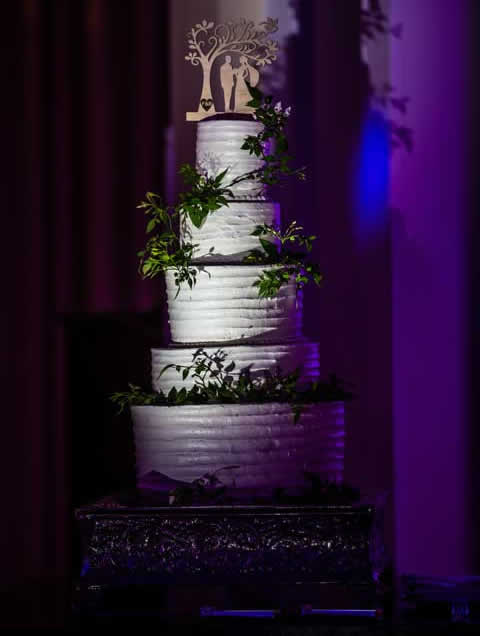 Rent Cake Spotlights! Free Shipping Nationwide